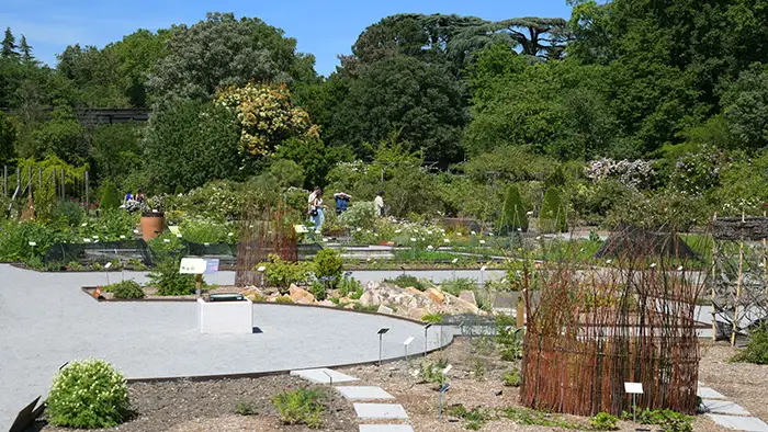 École de botanique : pour découvrir le monde végétal | Lyon Mairie du 4